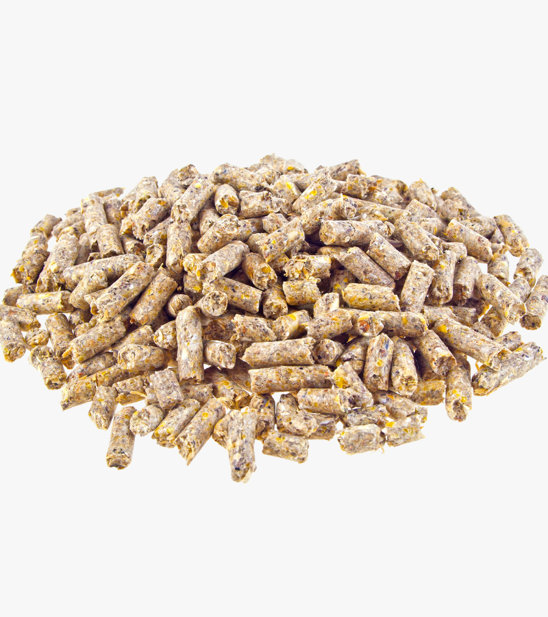 Camel Feed – Unique organics
