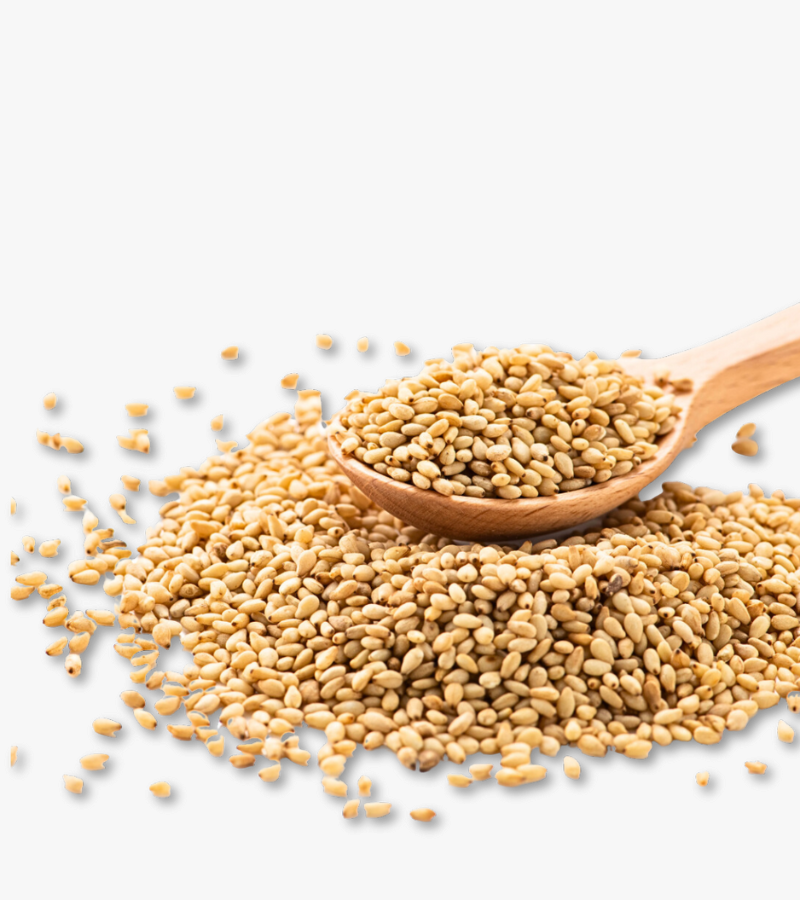 Sesame Seeds – Unique organics